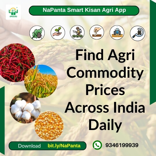 BAYER-SPINTOR (Spinosad 45% SC)